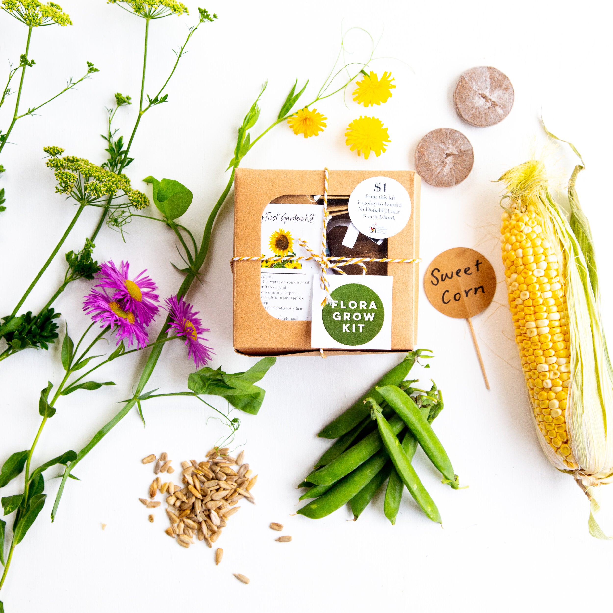 Flora Grow Seed Kit - The My First Garden Kit - XO Gifts